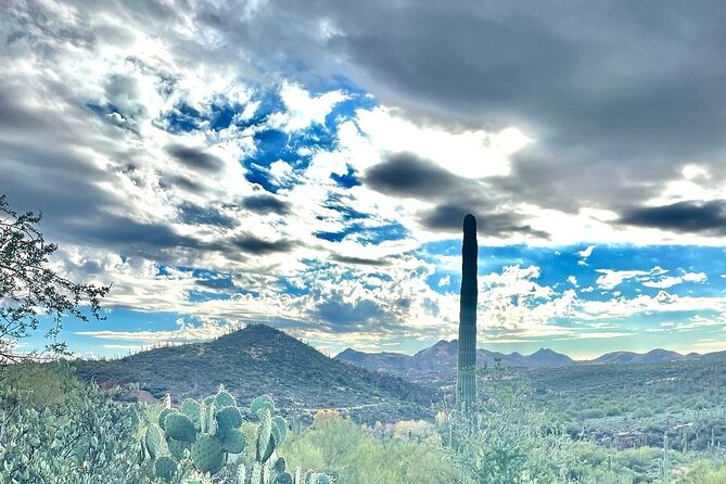 3 Hour Sonoran Desert Private Guided Mountain Bike Tour - Why the Price of $135 is a Good Deal