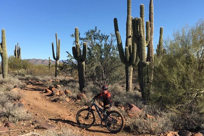 3 Hour Sonoran Desert Private Guided Mountain Bike Tour - Practical Details and Considerations