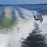 3-Hour Tikibar Private Hopping in Sarasota - Authentic Insights from Reviews