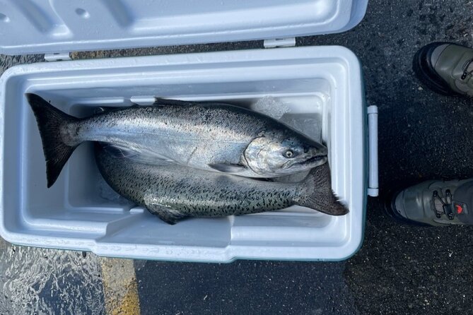 3 Hours Fishing Experience Class in Juneau - Frequently Asked Questions