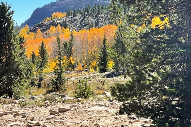 3 Hours Off-Road Adventure - What Reviewers Say About the Experience