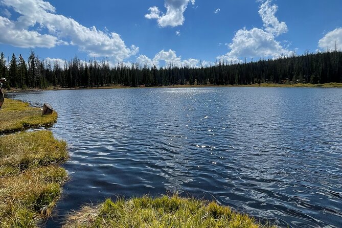 3 Hours Off-Road Adventure - The Practicalities: What Travelers Need to Know