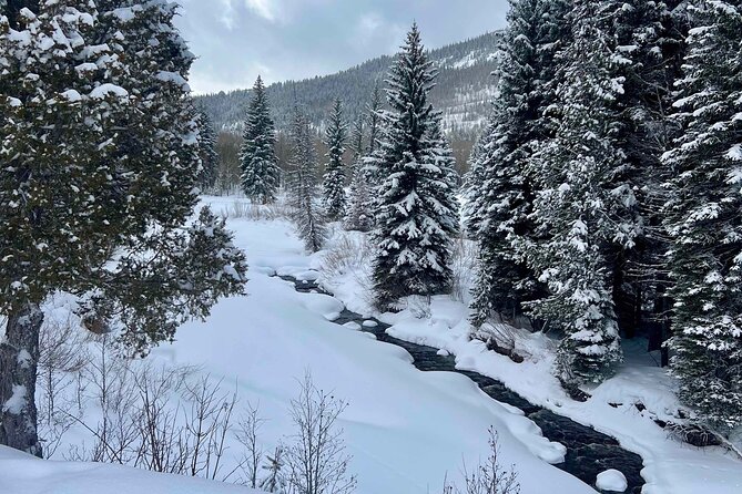 3 Hours Park City Snowmobile Adventure - Key Points