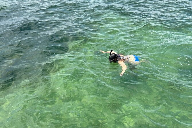 3 Hours Snorkeling Excursion in South Padre Island - Who Will Love This Experience?