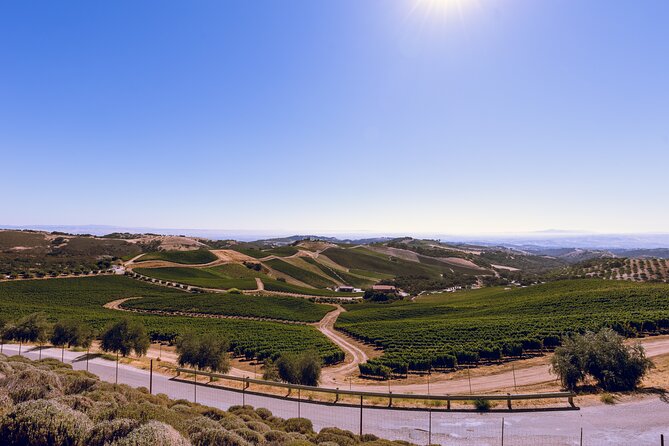 3-Winery Tour Includes Lunch from Paso Robles & Atascadero - The Comfort of Transportation and Guided Service