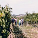 3-Winery Tour Includes Lunch from Paso Robles & Atascadero - The Cost and Value