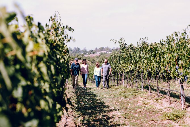 3-Winery Tour Includes Lunch from Paso Robles & Atascadero - The Cost and Value
