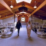 3-Winery Tour Includes Tastings & Lunch from Paso/Atascadero - Why This Tour Stands Out