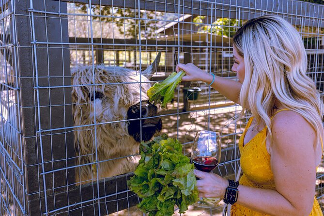 3-Winery Tour Includes Tastings & Lunch from Santa Barbara - The Value for Money