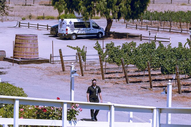 3-Winery Tour Includes Tastings & Lunch from Santa Barbara - Who Should Book This Tour?