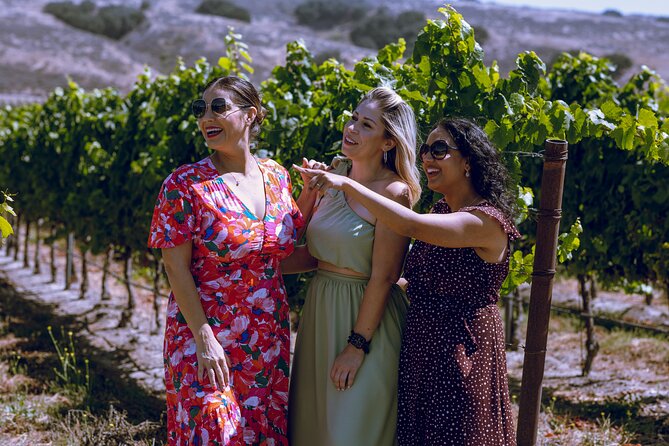 3-Winery Tour Includes Tastings & Lunch from Santa Ynez/Solvang - Transportation & Logistics: Why It Matters