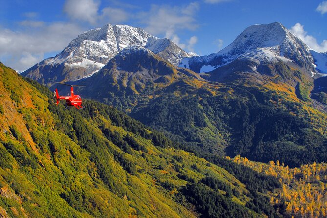 30 Minute Flightseeing Tour from Girdwood - Who Should Book This Tour?