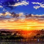 30 Minutes Private Flight Experience Over Paso Robles by Plane - Authentic Insights from Reviews