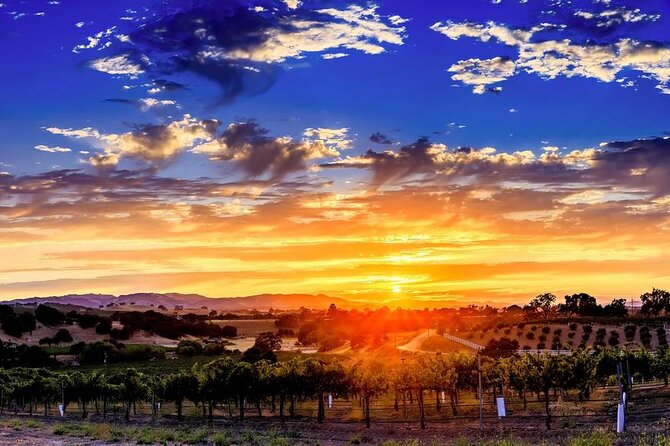 30 Minutes Private Flight Experience Over Paso Robles by Plane - Authentic Insights from Reviews