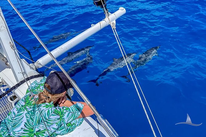 3hr Luxury Private Sailing Catamaran in Waikiki for 1 to 6 People - Who Should Consider This Tour?