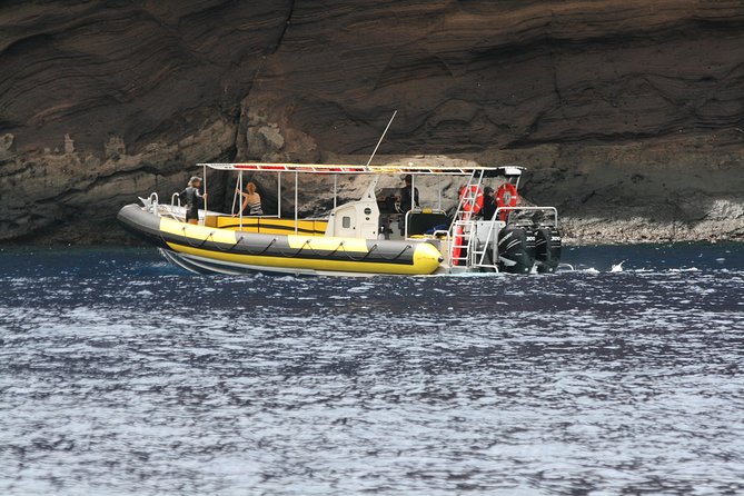 4 .5 Hour Molokini Snorkel Tour Adventure in Maui - Key Points  