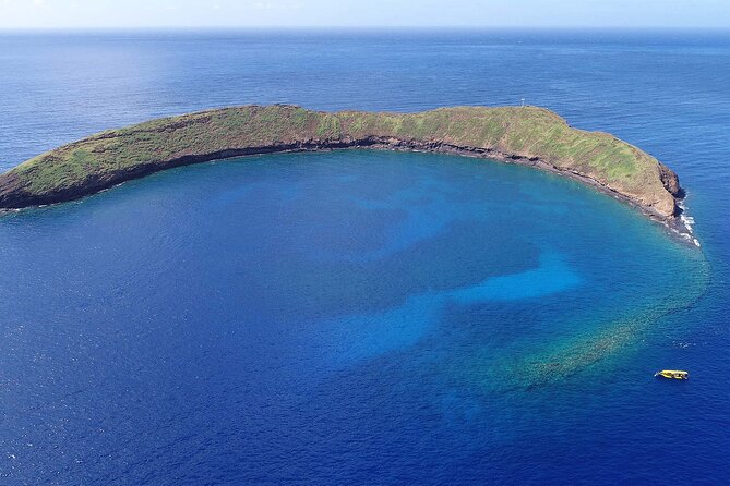 4 .5 Hour Molokini Snorkel Tour Adventure in Maui - Frequently Asked Questions (FAQs)  