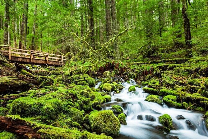 4-Day Olympic Backpacking - Sol Duc and the Seven Lakes Basin - Why Consider the 4-Day Olympic Backpacking Tour?