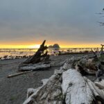 4-Day Olympic Backpacking Tour in North Coast - What Travelers Value Most