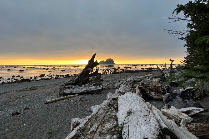 4-Day Olympic Backpacking Tour in North Coast - What Travelers Value Most