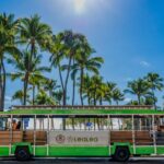 4 Day Pass LeaLea Trolley and Waikiki Trolley Pink Line - Who Will Love This Tour?