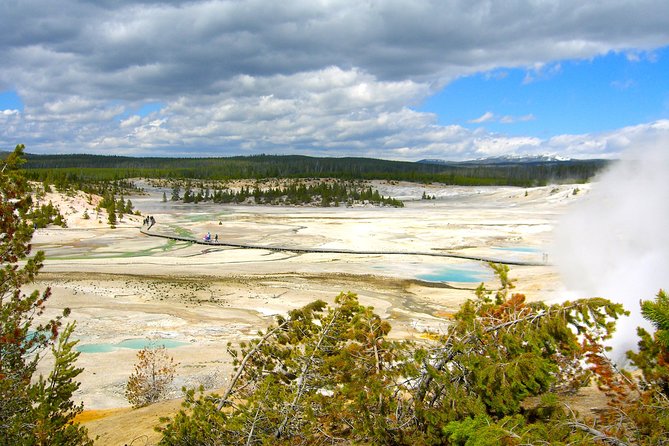 4-Day Small Group Tour: Yellowstone and Tetons Camping from Salt Lake City - What Makes This Tour Stand Out?