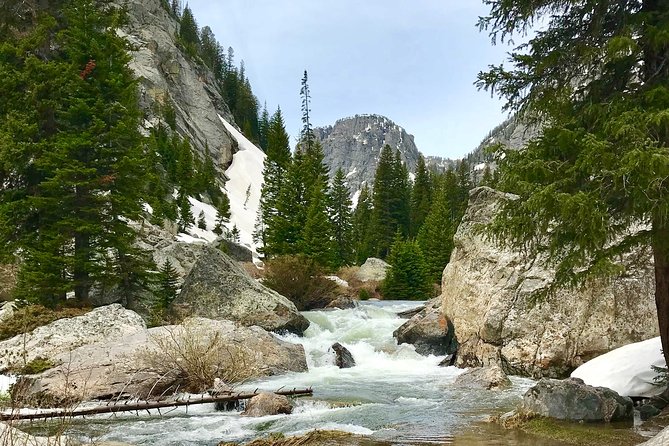 4-Day Small Group Tour: Yellowstone and Tetons Camping from Salt Lake City - Who Is This Tour Perfect For?