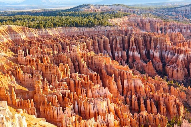 4-Day Tour in Zion, Bryce & Antelope Canyon, Las Vegas - The Journey Begins: San Francisco to Las Vegas