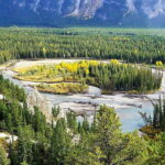 4 Days Tour to Banff & Jasper National Park without Hotels - Day Two: Ice and Glaciers