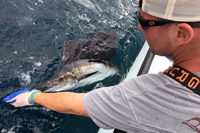4 Hour Charter - The Overall Value