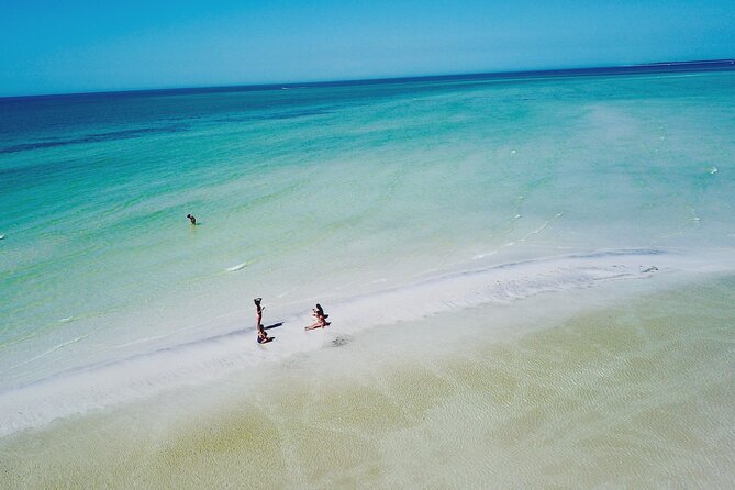 4 Hour Clearwater Beach Private Pontoon Boat Tour - Final Thoughts: Is This Tour Worth It?