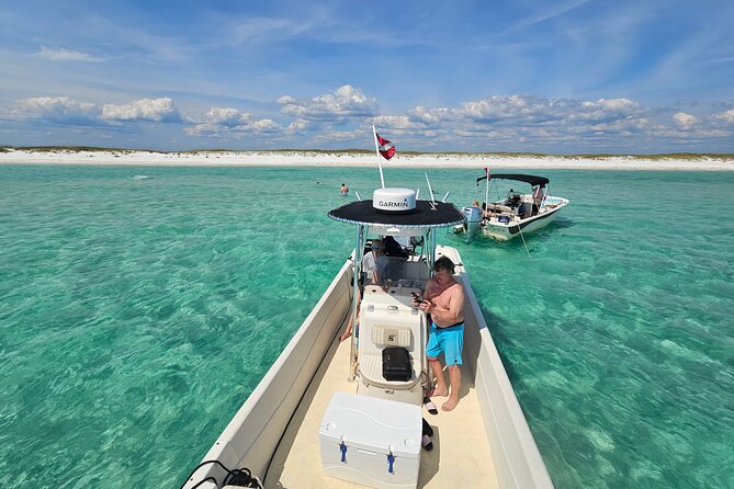 4 Hour Eco Dolphin Tour in Panama - Introduction: What Makes the 4 Hour Eco Dolphin Tour in Panama Special