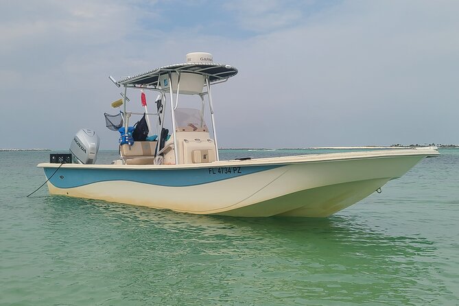 4 Hour Eco Dolphin Tour in Panama - Key Points