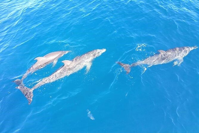 4-Hour Fort Lauderdale Sailing Charter - FAQs