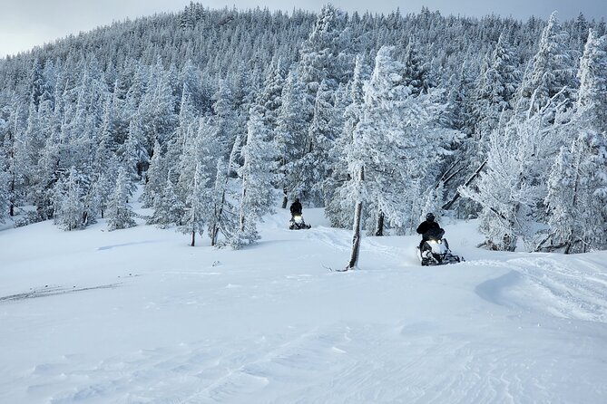 4-Hour Guided Scenic National Monument Snowmobile Tour in Bend - The Itinerary: What You Can Expect
