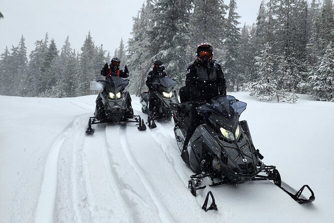 4-Hour Guided Scenic National Monument Snowmobile Tour in Bend - Why This Tour Offers Great Value