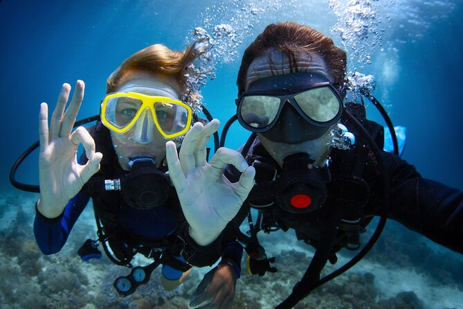 4 Hour Guided Scuba Diving Adventures in Waikiki - Final Thoughts
