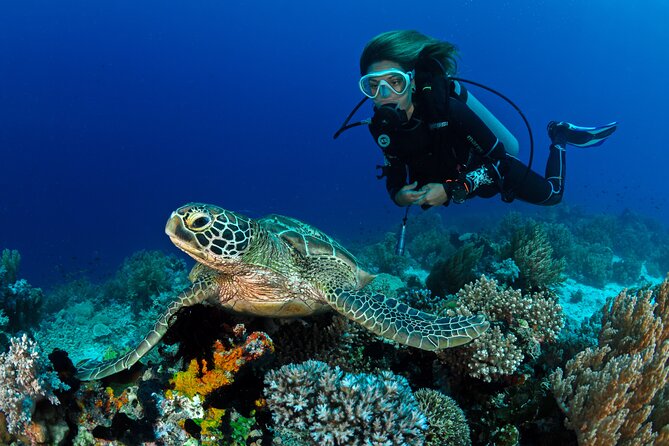 4 Hour Guided Scuba Diving Adventures in Waikiki - FAQs