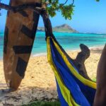 4 Hour Half Day Island Jeep Tour - What Makes This Tour Stand Out?
