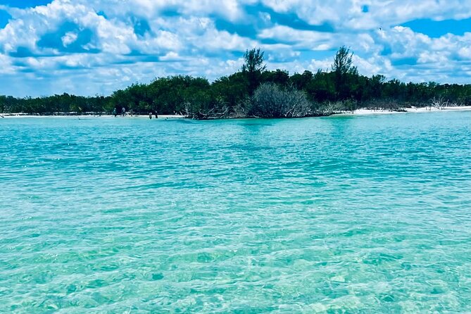 4-Hour Island/Sandbar Excursion with Captain - What Makes the Experience Special