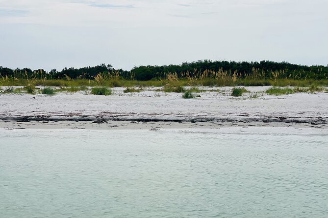 4-Hour Island/Sandbar Excursion with Captain - Who Will Love This Tour?