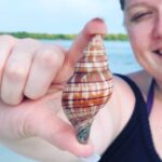 4 Hour Kice Island Shelling Trip - Practical Tips for Booking and Preparing