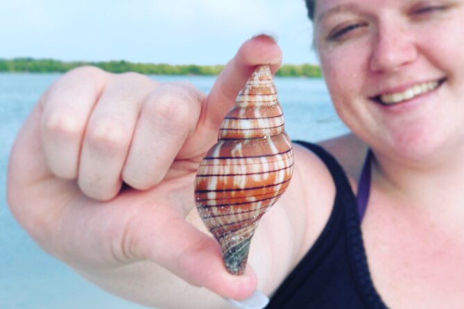 4 Hour Kice Island Shelling Trip - Practical Tips for Booking and Preparing