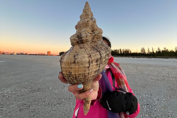 4 Hour Kice Island Shelling Trip - Who Is This Tour Best For?
