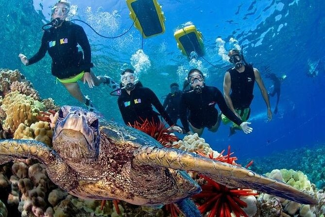 4-Hour Koa Kai Molokini Adventure Snorkel - Why This Tour Offers Great Value