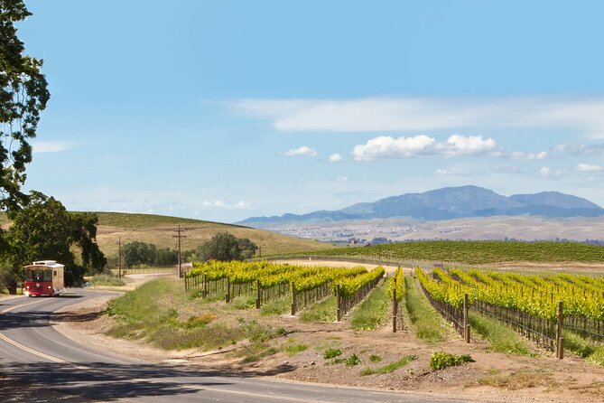 4 Hour Livermore Valley Wine Tour - 4 Hour Livermore Valley Wine Tour: A Scenic Sip Through California’s Wine Country