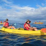 4-Hour Makena Whale Watch Tour - Key Points