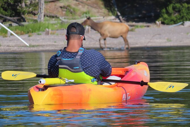 4-Hour Morning Kayak on Yellowstone Lake with Lunch - FAQs