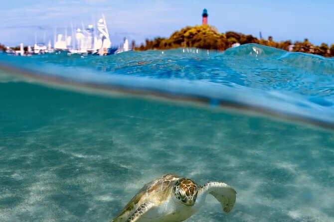 4 Hour Narrated Sightseeing Tours & Sunset Trips: West Palm Beach - The Sum Up