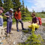 4 Hour Off-Trail Wilderness Wonders Tour in Denali - Unpacking the Experience